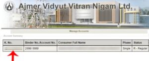 How to Download Rajasthan JdVVNL, JVVN, & AVVNL Electricity Bill ...