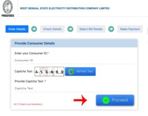 How To Download & Pay WBSEDCL Electricity Bill Online (Bengal ...